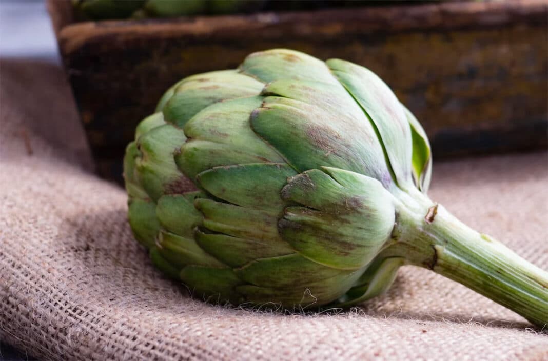 5 Beneficios de la alcachofa